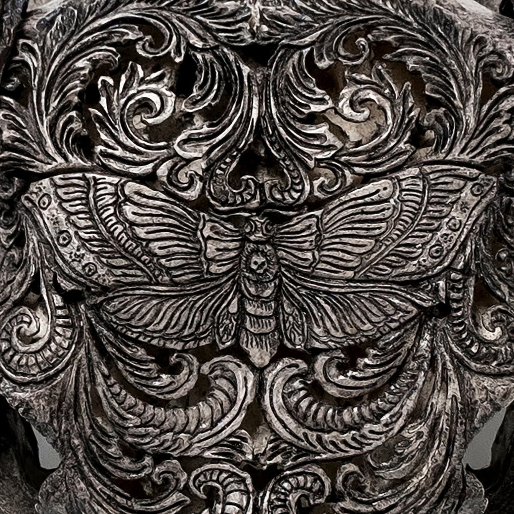 Hand Carved Cow Skull - Gray Moth – Skull Bliss