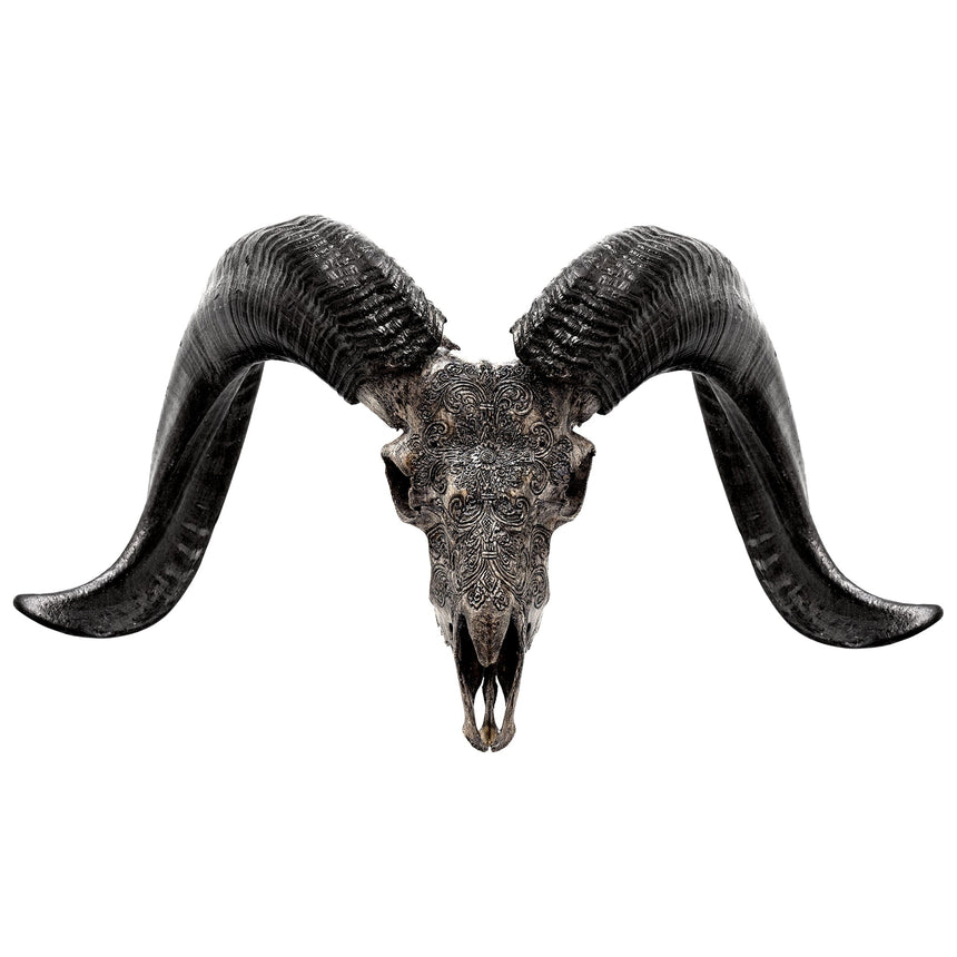 Ram Skulls for Sale | Ram Skull Art | Skull Bliss