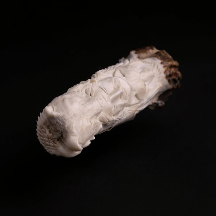 Carved Animal Skulls for Sale | Unique Skull Decor | Skull Bliss