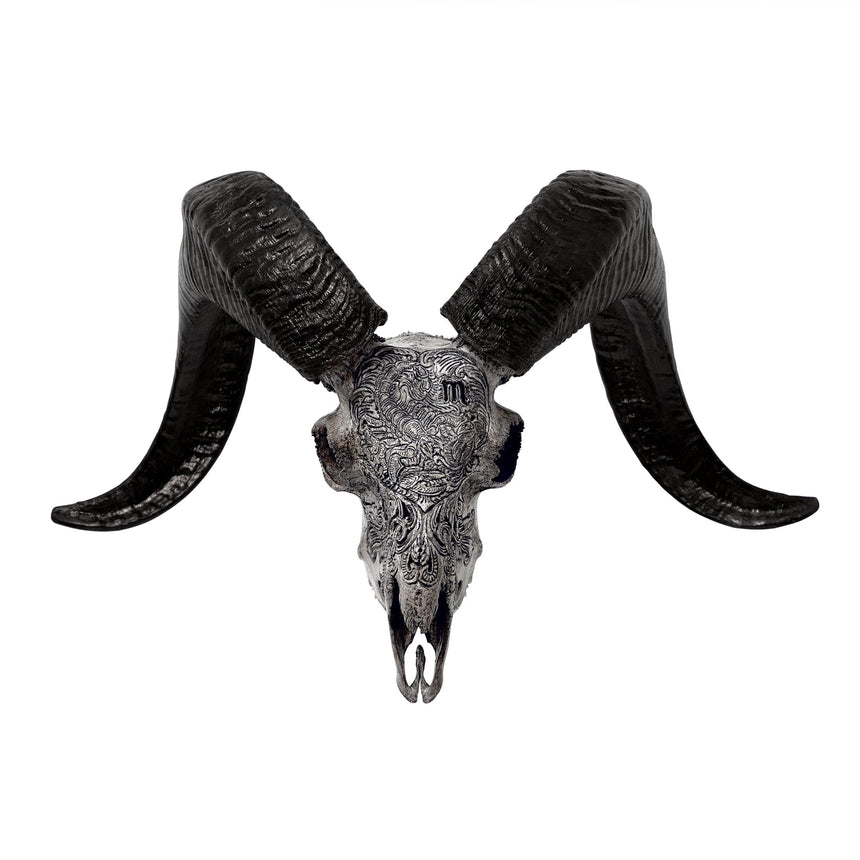 Ram Skulls for Sale | Ram Skull Art | Skull Bliss