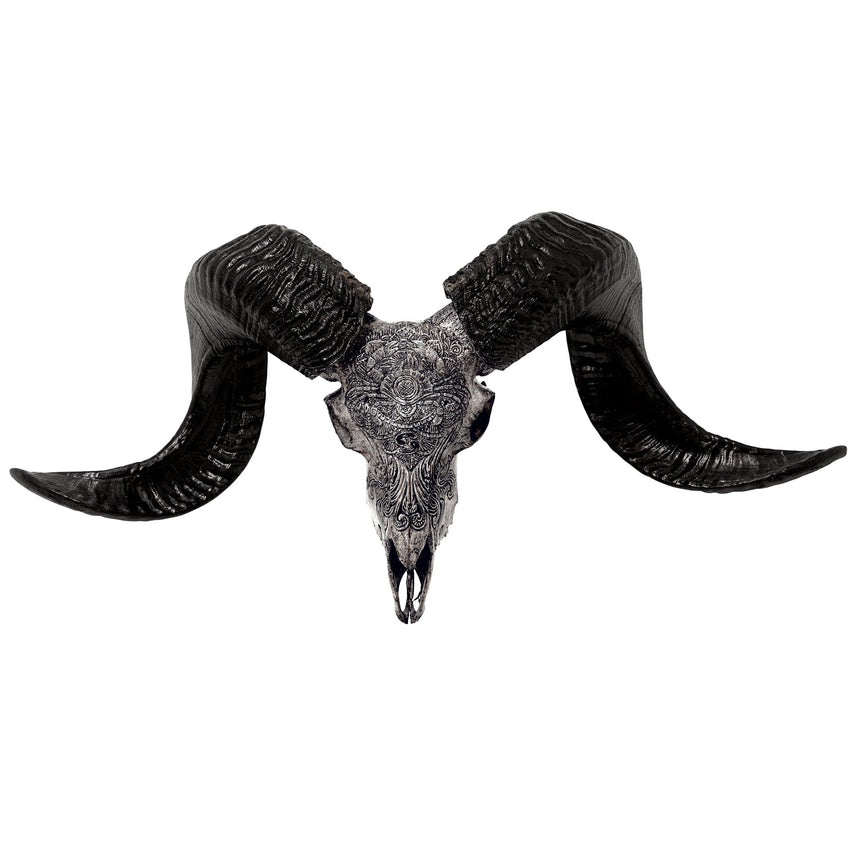 Ram Skulls for Sale | Ram Skull Art | Skull Bliss