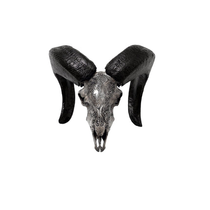 Ram Skulls for Sale | Ram Skull Art | Skull Bliss