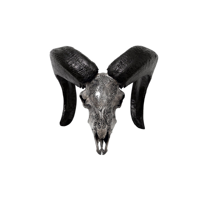 Carved Animal Skulls for Sale | Unique Skull Decor | Skull Bliss
