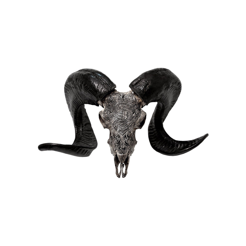 Ram Skulls for Sale | Ram Skull Art | Skull Bliss