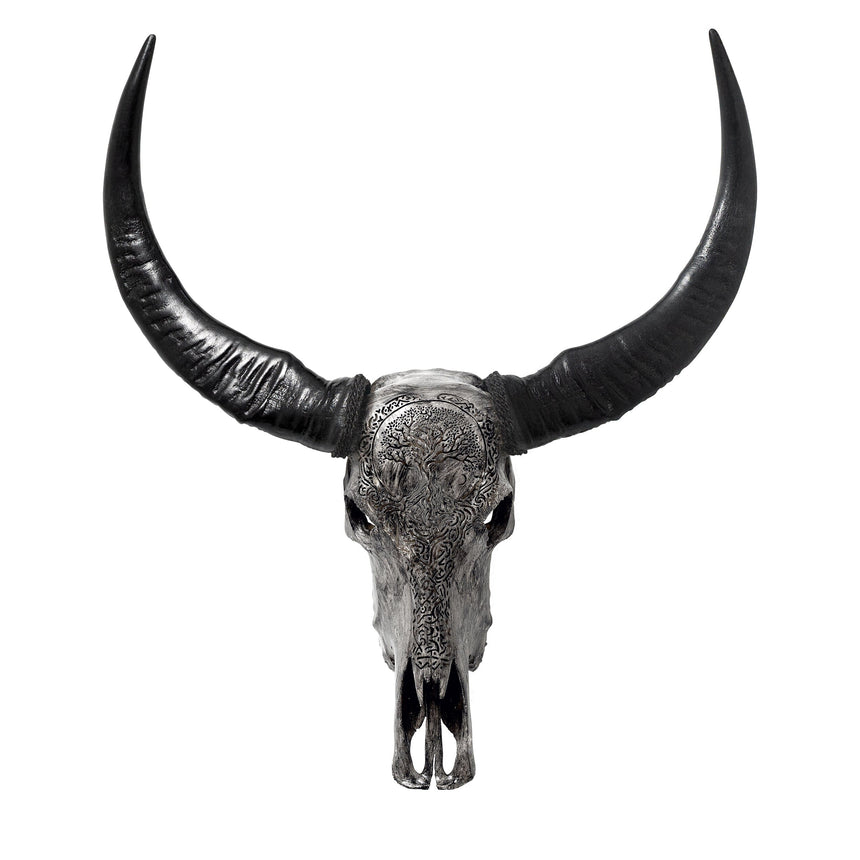 Buffalo Skulls for Sale | Carved Bison Skulls | Skull Bliss