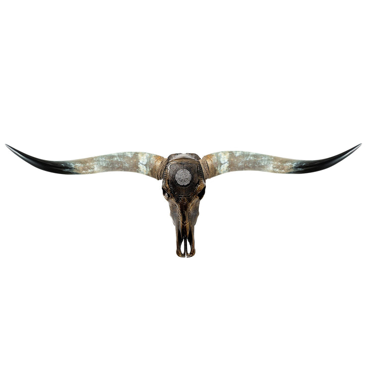 Carved Animal Skulls for Sale | Unique Skull Decor | Skull Bliss