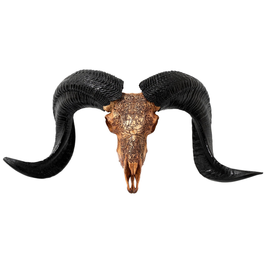 Hindu Gods Collection – Skull Bliss