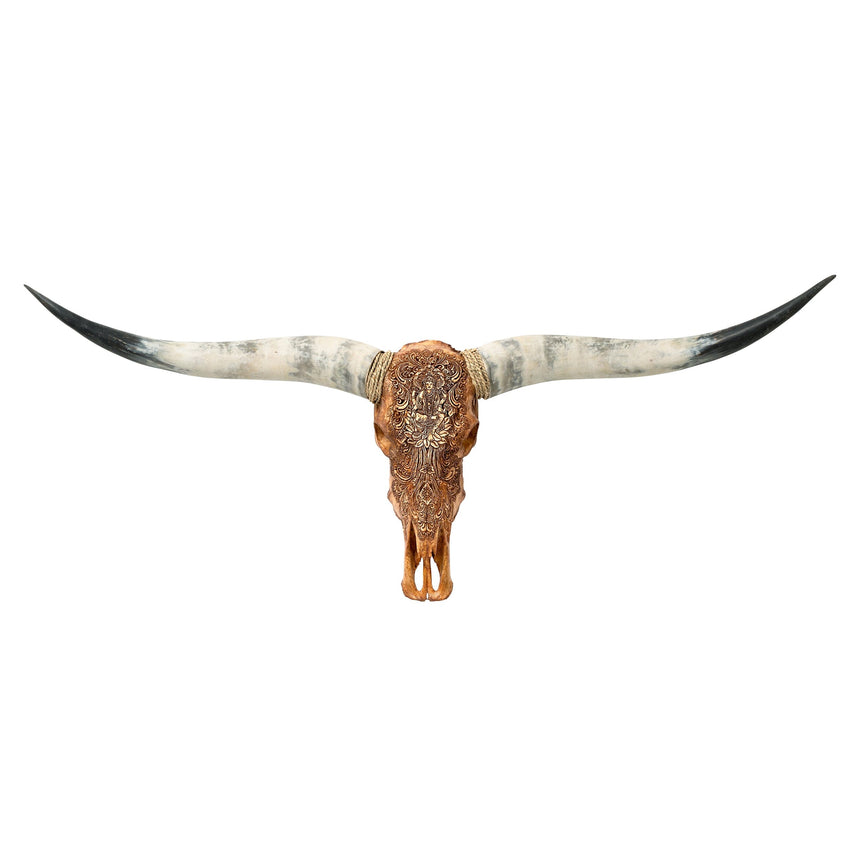 Antique and Aged Skulls for Sale | Skull Bliss