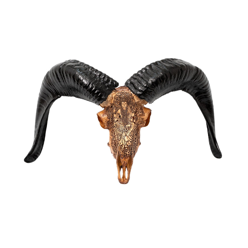 Antique and Aged Skulls for Sale | Skull Bliss