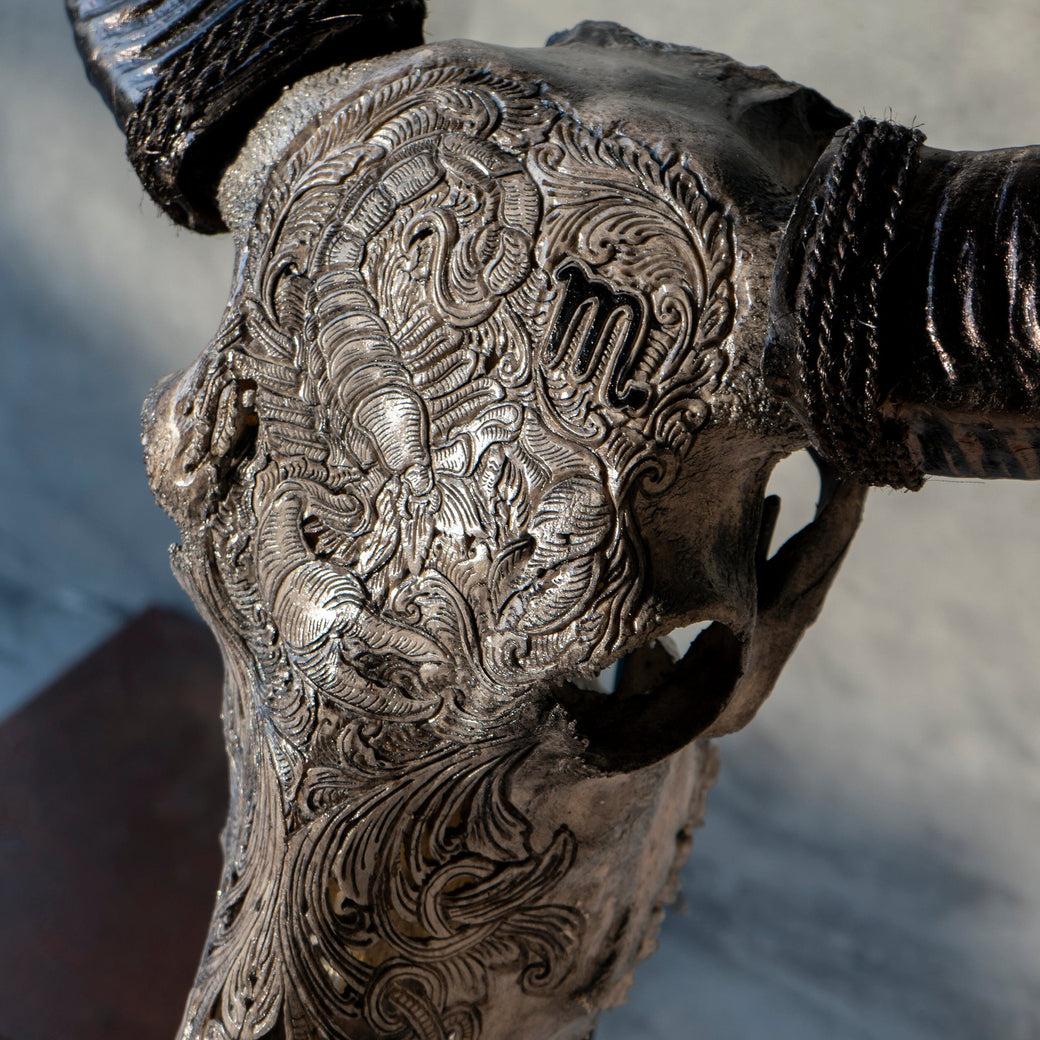 Hand Carved Buffalo Skull - Gray Scorpio – Skull Bliss