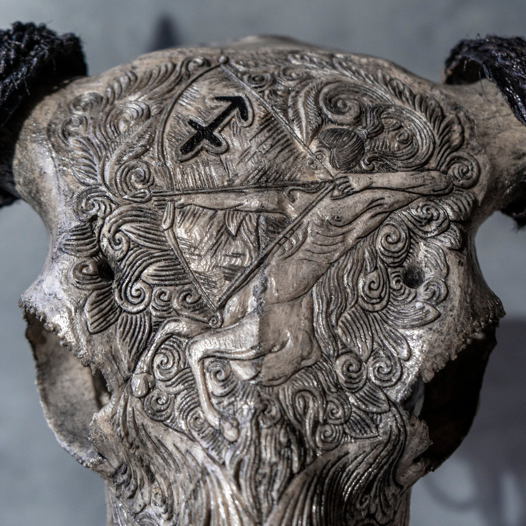 Hand Carved Buffalo Skull - Gray Sagittarius – Skull Bliss