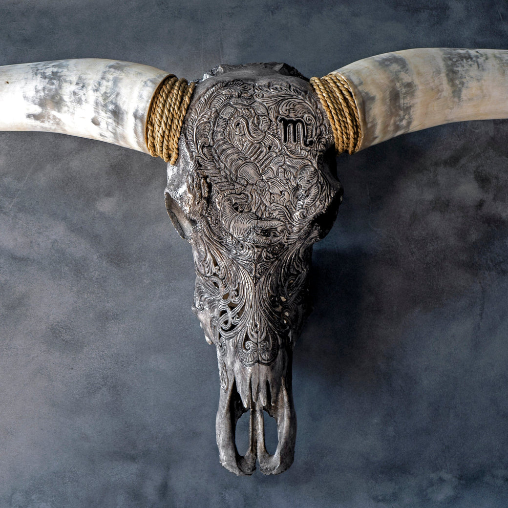 Hand Carved Longhorn Skull - Gray Scorpio – Skull Bliss