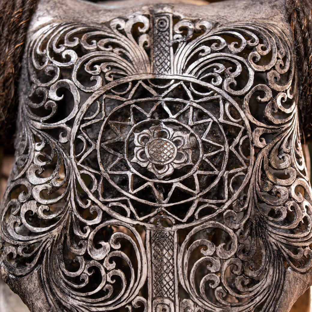 Hand Carved Longhorn Skull // XL Horns - Gray Sun – Skull Bliss