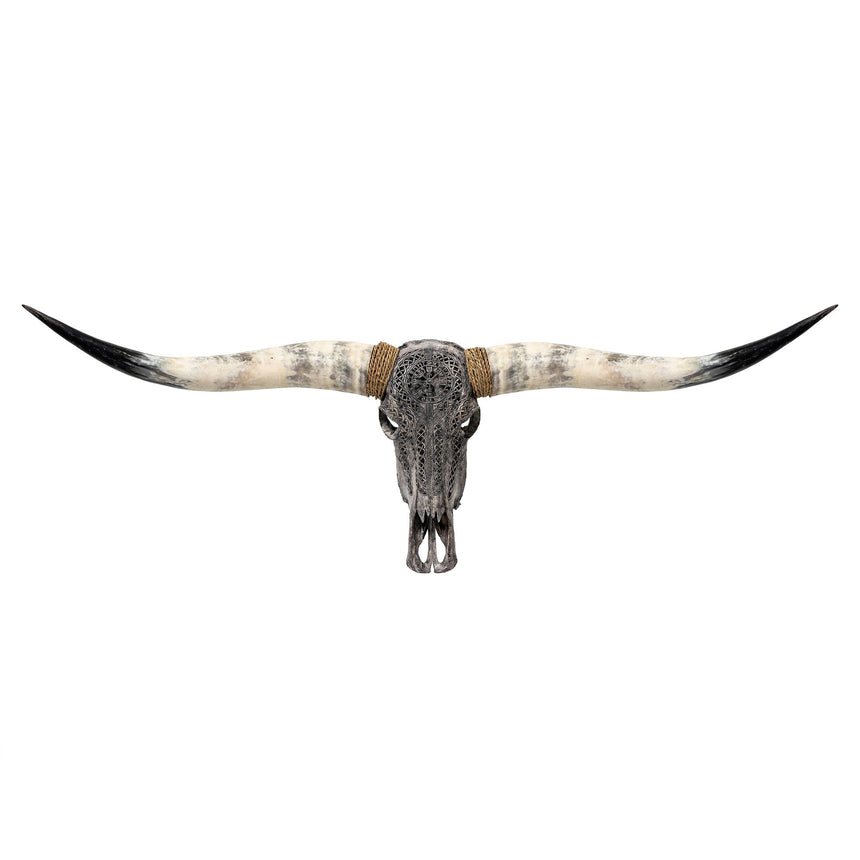 Longhorn Skulls for Sale | Longhorn Cow Skull Decor | Skull Bliss