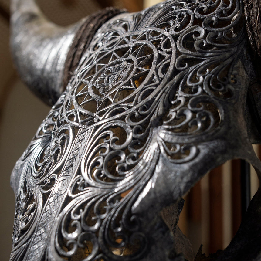 Cow Skulls for Sale | Bull & Cow Skull Decor | Skull Bliss