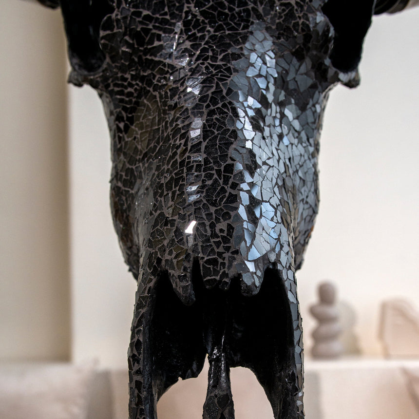 Longhorn Skulls for Sale | Longhorn Cow Skull Decor | Skull Bliss