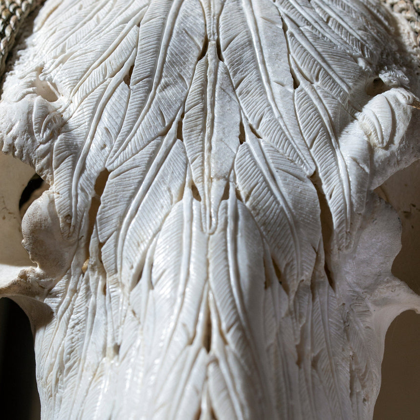 XL Longhorn Skulls – Skull Bliss