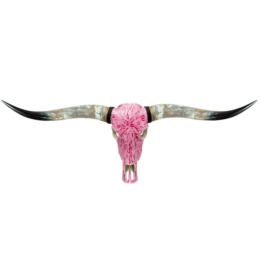 Longhorn Skulls for Sale | Longhorn Cow Skull Decor | Skull Bliss
