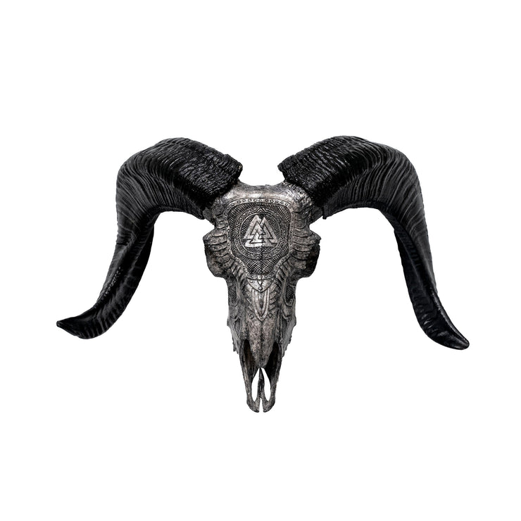 Carved Animal Skulls for Sale | Unique Skull Decor | Skull Bliss
