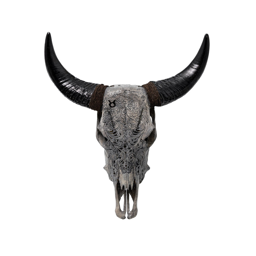 Cow Skulls for Sale | Bull & Cow Skull Decor | Skull Bliss