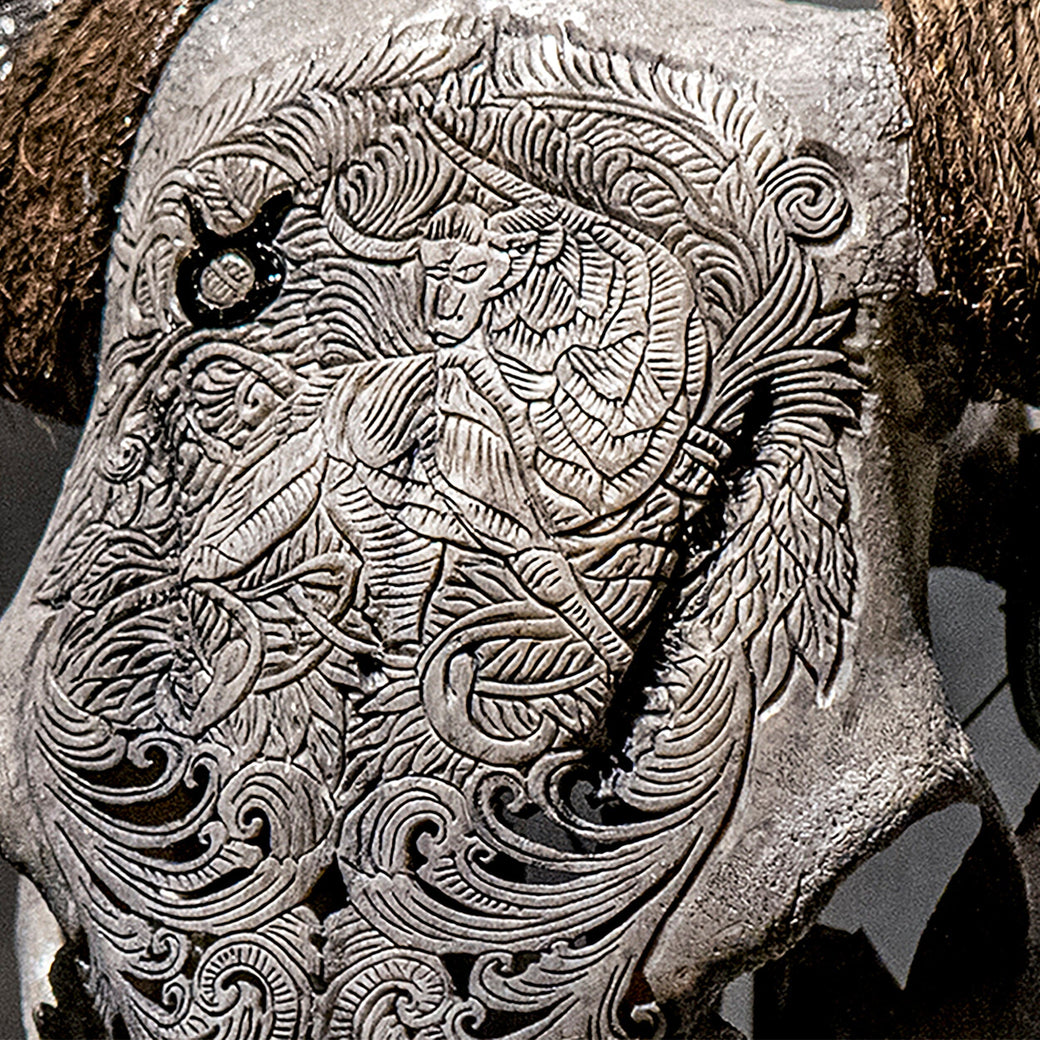 Hand Carved Cow Skull - Gray Taurus – Skull Bliss