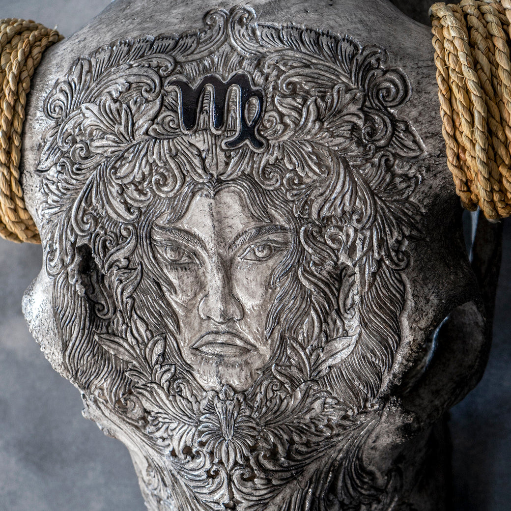 Hand Carved Longhorn Skull // XL Horns - Gray Virgo – Skull Bliss