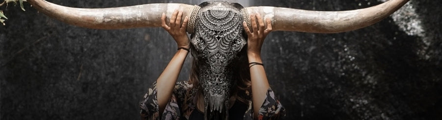 Carved Animal Skulls for Sale | Unique Skull Decor | Skull Bliss