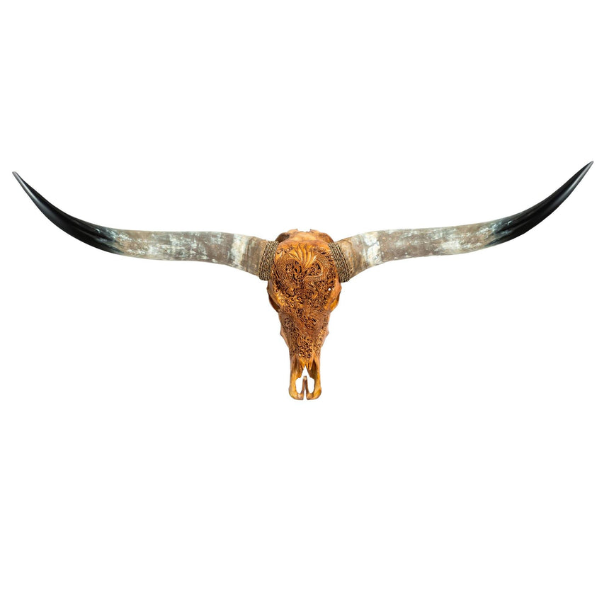 Antique and Aged Skulls for Sale | Skull Bliss