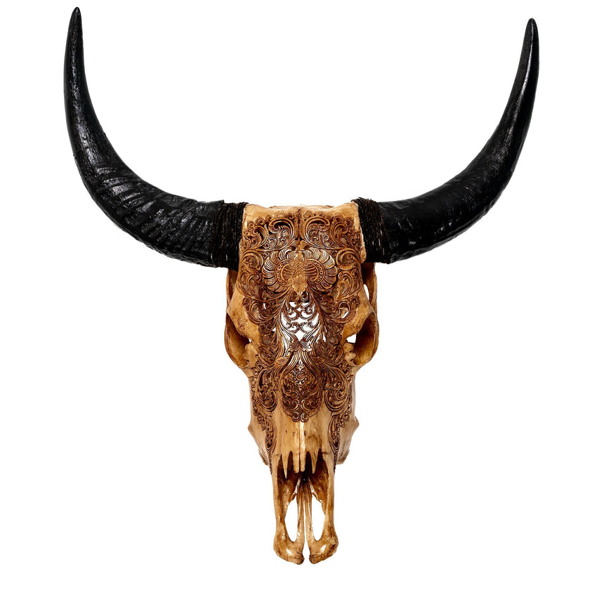 Antique and Aged Skulls for Sale | Skull Bliss