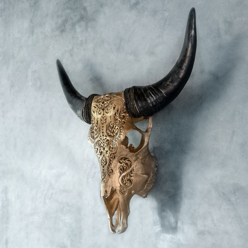 Cow Skulls for Sale | Bull & Cow Skull Decor | Skull Bliss