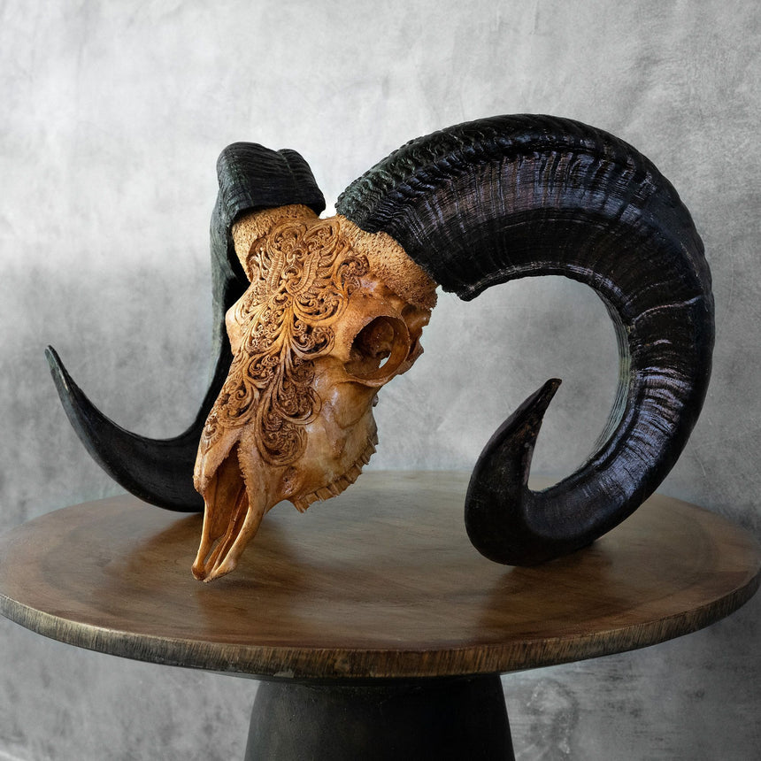 Ram Skulls for Sale | Ram Skull Art | Skull Bliss