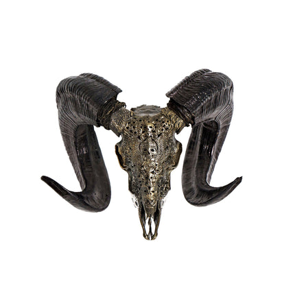 Ram Skulls for Sale | Ram Skull Art | Skull Bliss