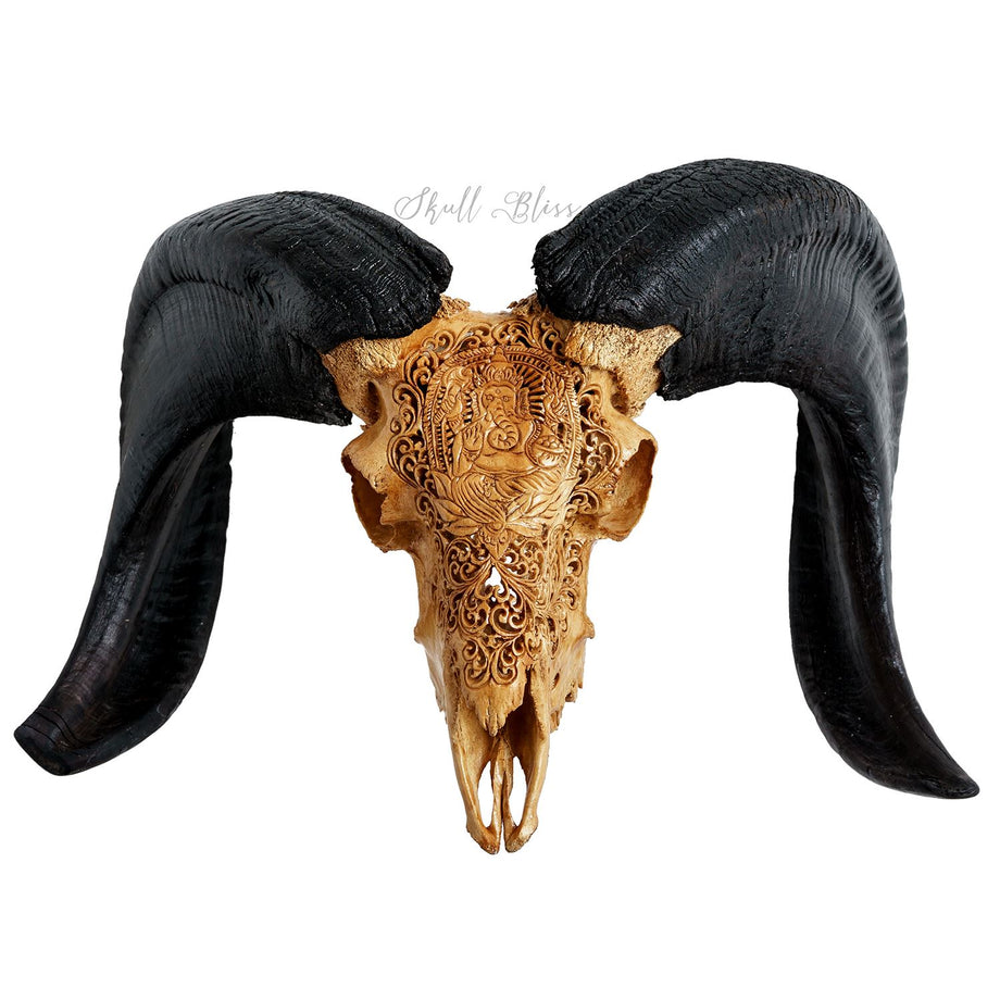 Final Sale Ram Skulls – Skull Bliss