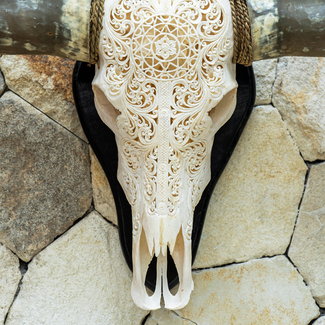 Hand Carved Longhorn Skull - White Sun – Skull Bliss