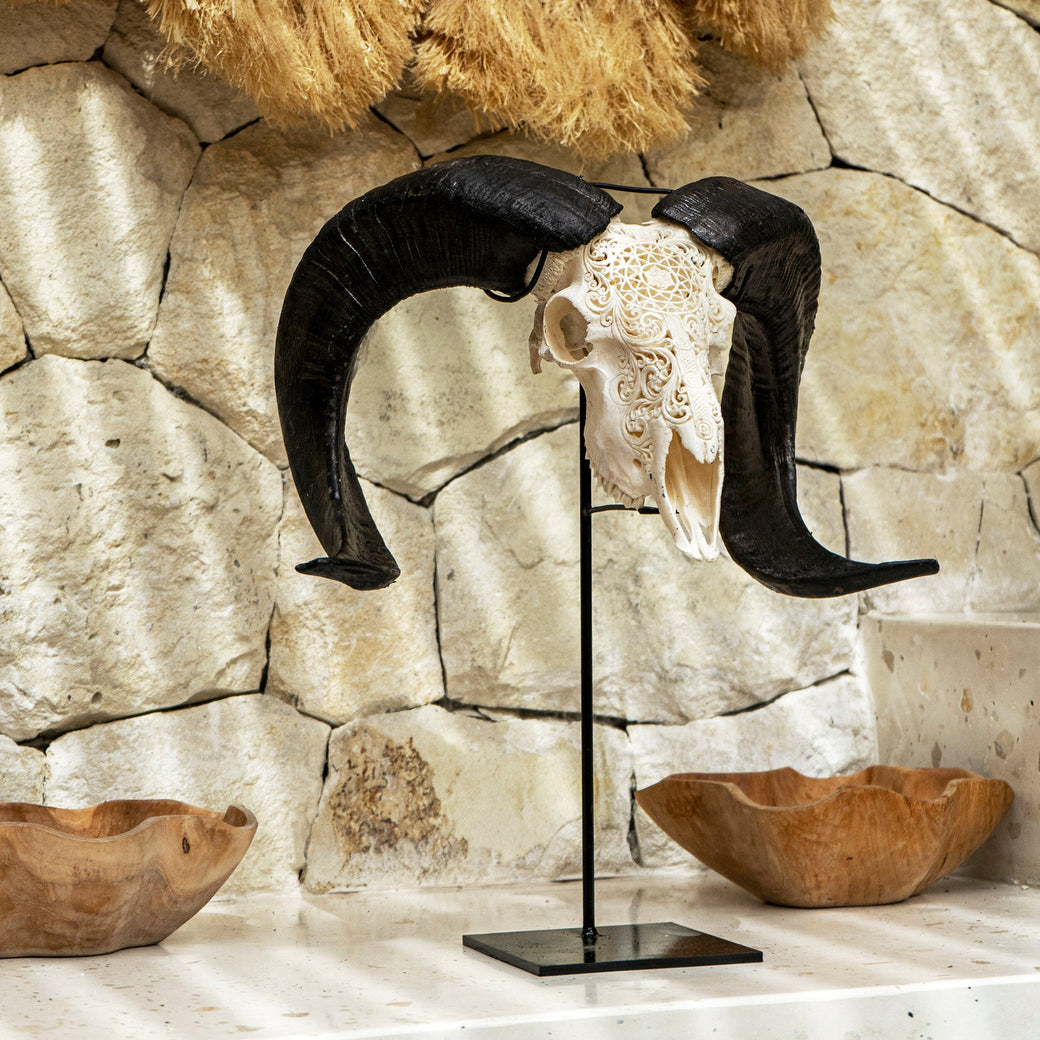 Hand Carved Ram Skull - White Sun – Skull Bliss