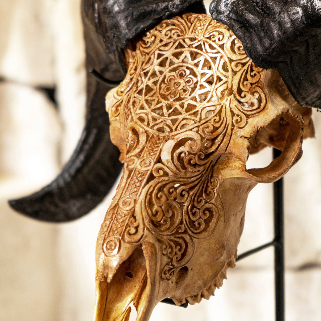 Hand Carved Ram Skull - Antique Sun – Skull Bliss
