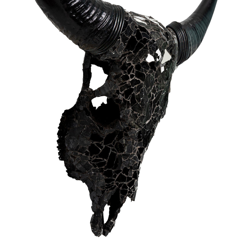 Cow Skulls for Sale | Bull & Cow Skull Decor | Skull Bliss