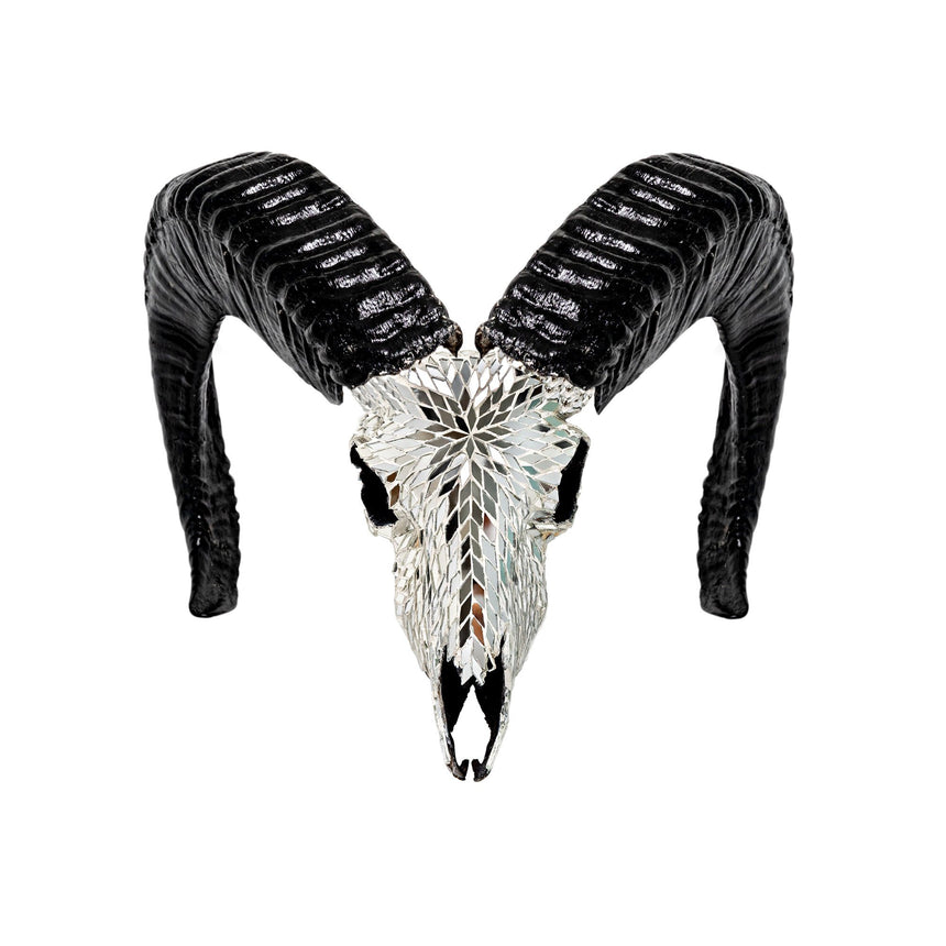 Ram Skulls for Sale | Ram Skull Art | Skull Bliss