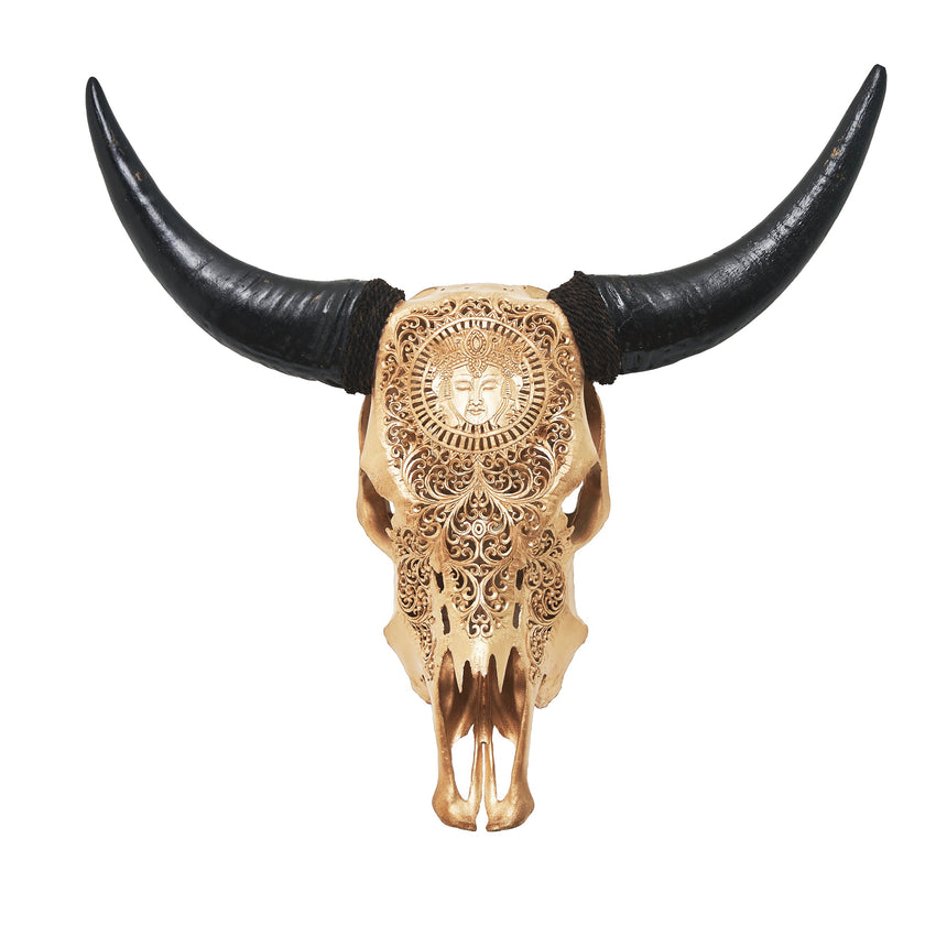 Cow Skulls for Sale | Bull & Cow Skull Decor | Skull Bliss