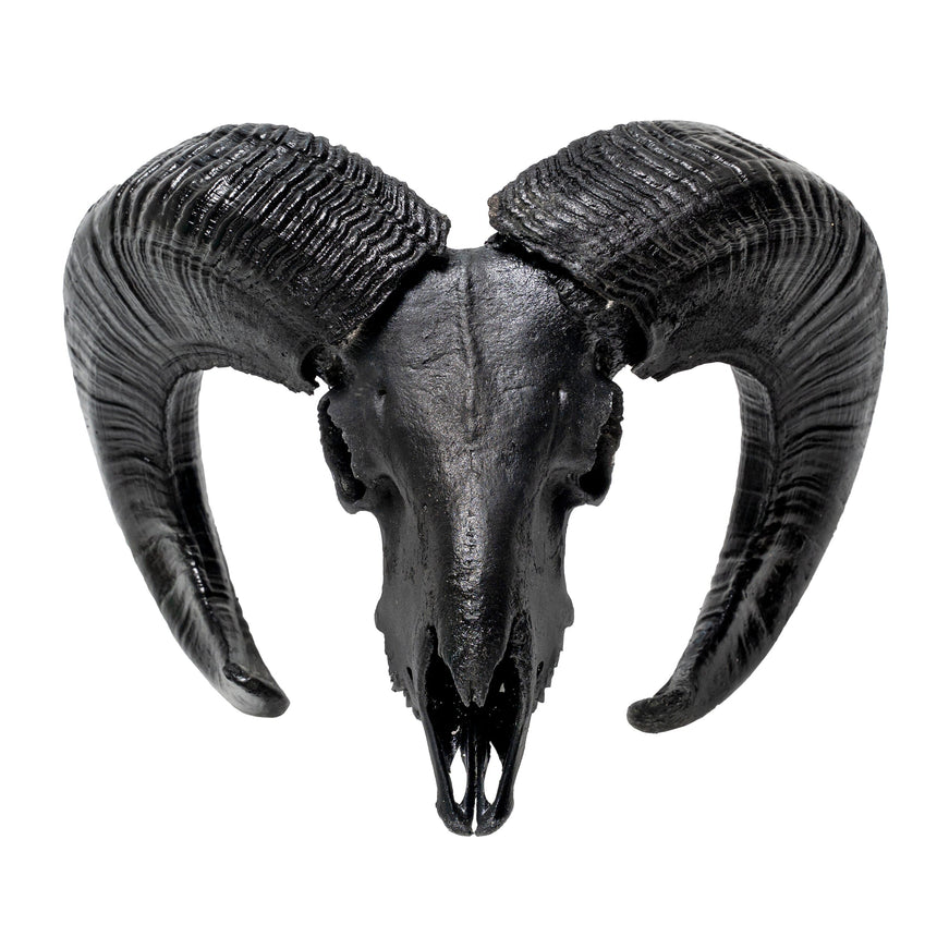 Ram Skulls for Sale | Ram Skull Art | Skull Bliss