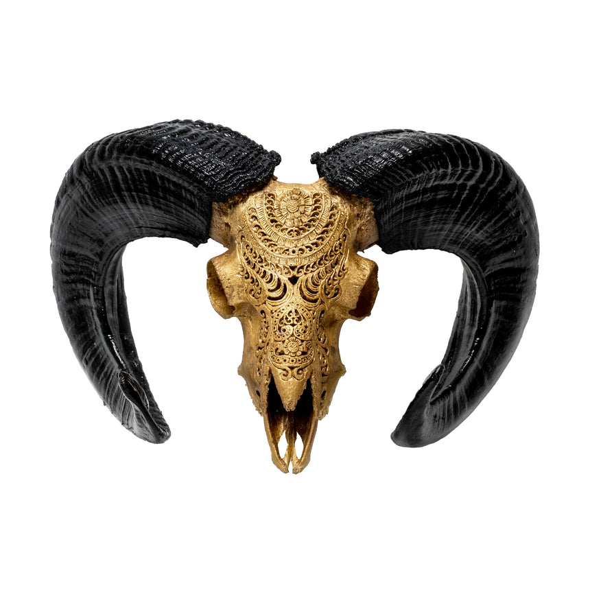 Ram Skulls for Sale | Ram Skull Art | Skull Bliss
