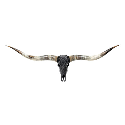 XL Longhorn Skulls – Skull Bliss