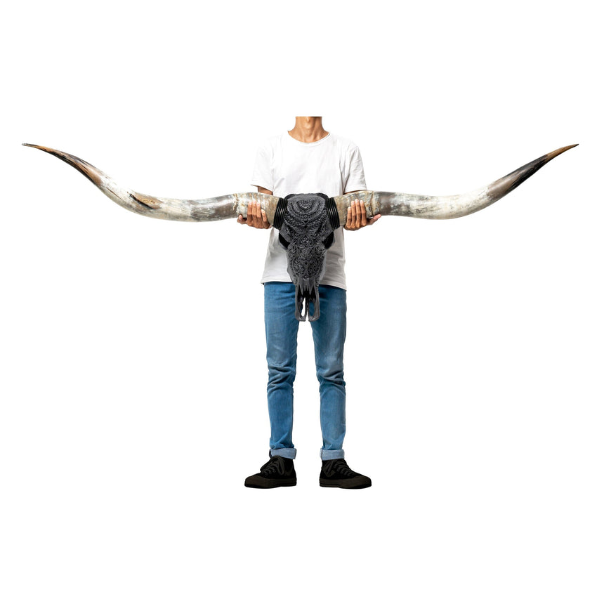 XL Longhorn Skulls – Skull Bliss