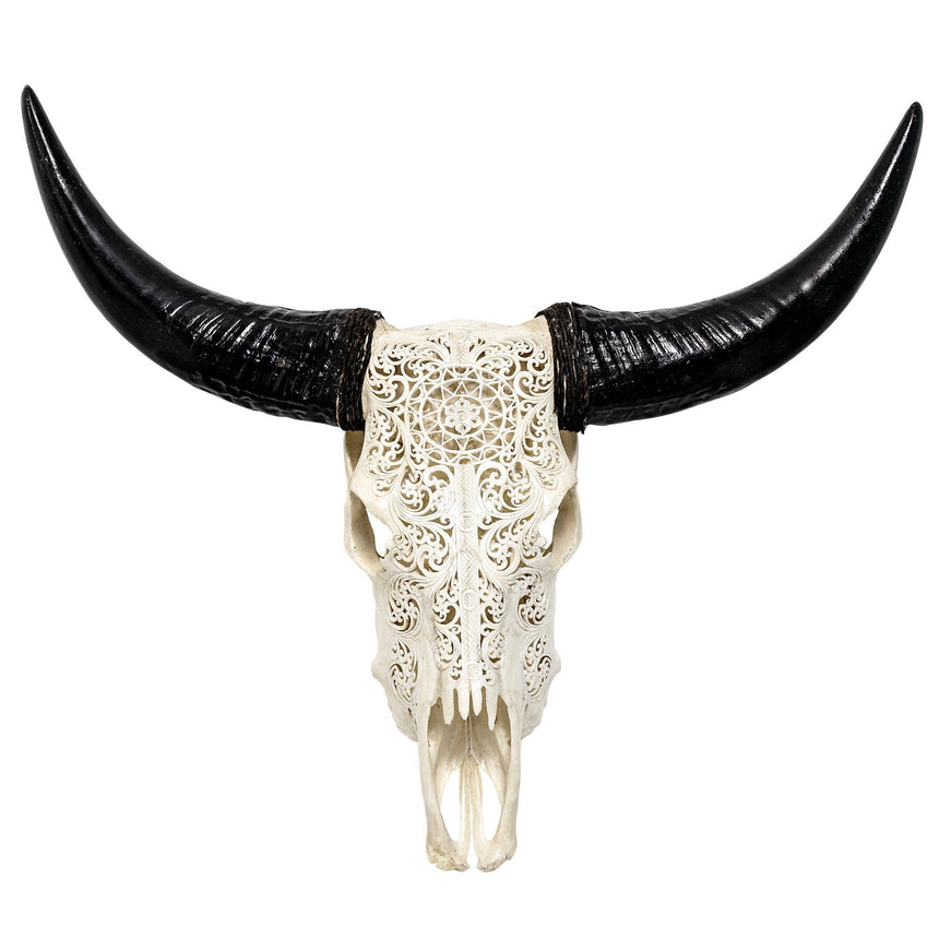 Cow Skulls for Sale | Bull & Cow Skull Decor | Skull Bliss