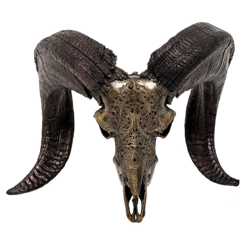 Ram Skulls for Sale | Ram Skull Art | Skull Bliss
