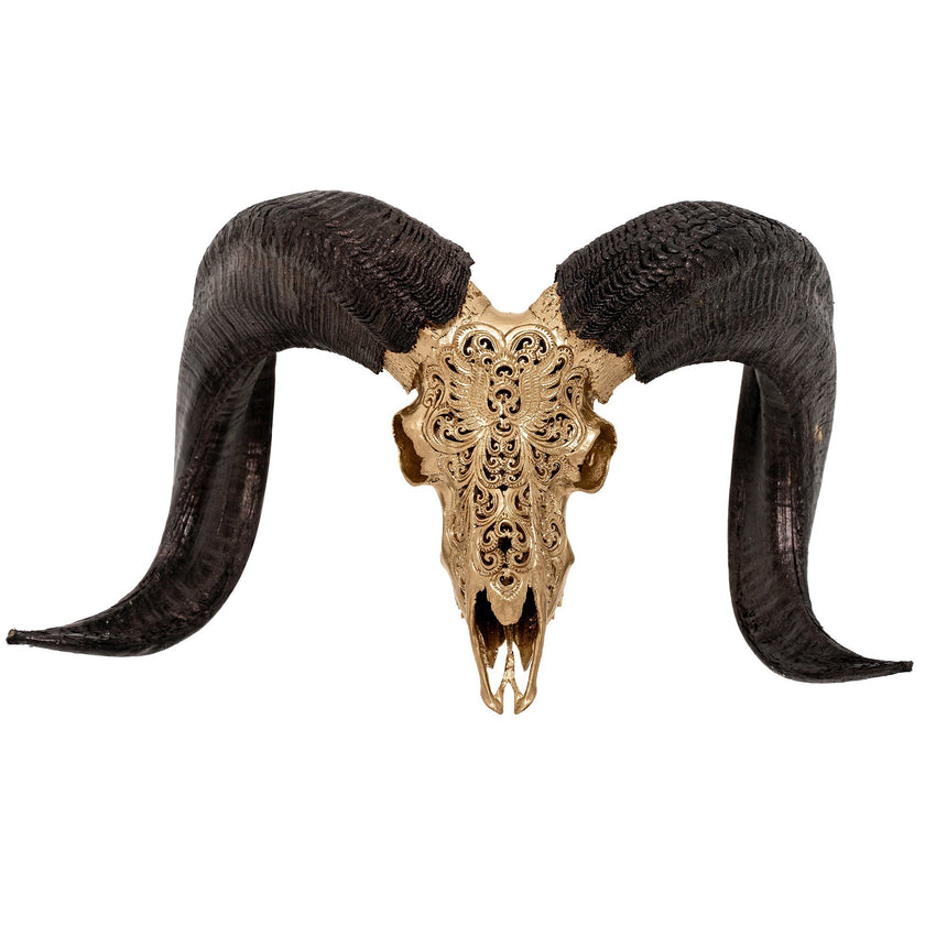 Ram Skulls for Sale | Ram Skull Art | Skull Bliss