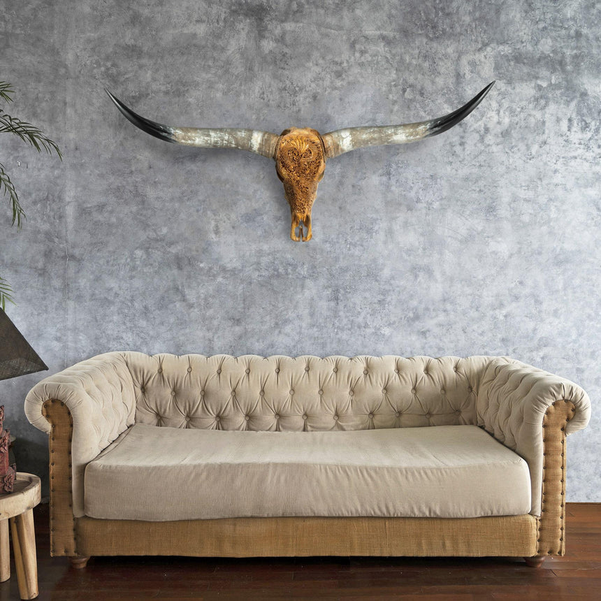 Antique and Aged Skulls for Sale | Skull Bliss