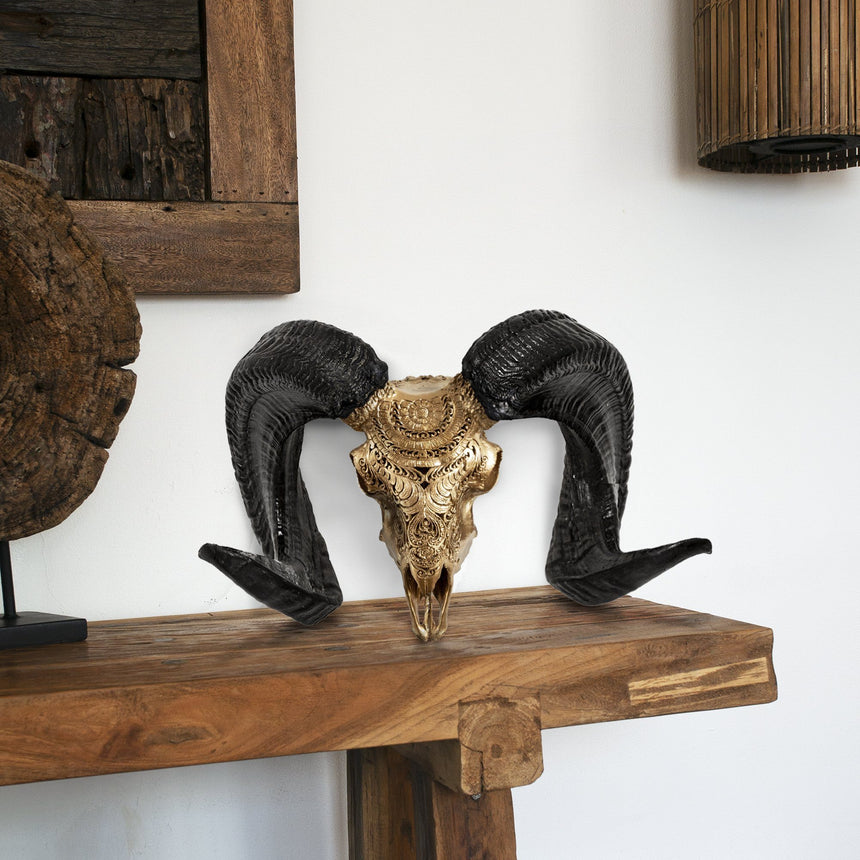 Ram Skulls for Sale | Ram Skull Art | Skull Bliss