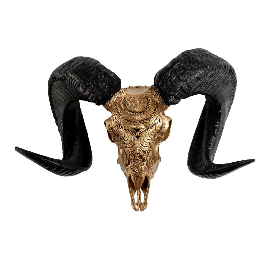 Golden Skulls for Sale | Gold Skull Decor | Skull Bliss