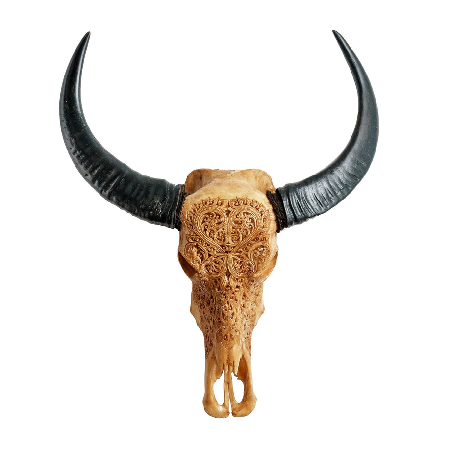 Antique and Aged Skulls for Sale | Skull Bliss